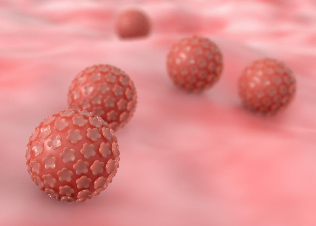 Images Of HPV JapaneseClass jp Images Of HPV JapaneseClass jp