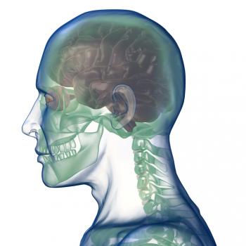 Five weird and wonderful surgical procedures