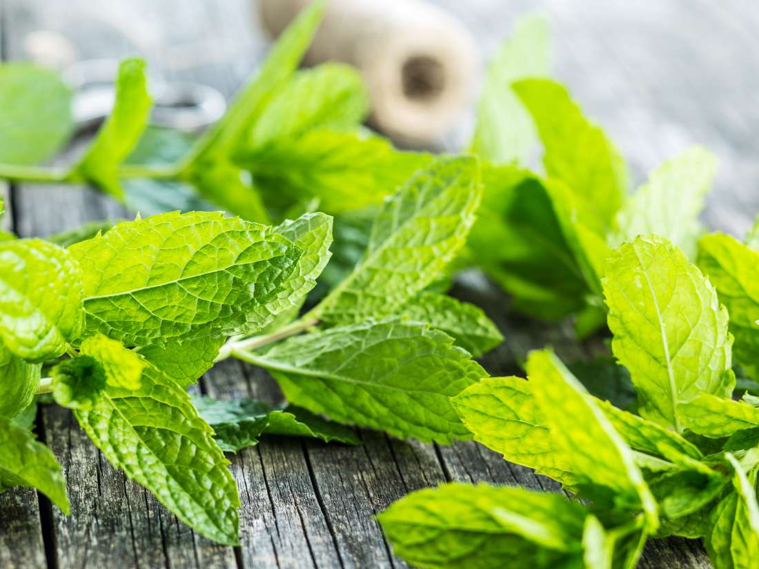 Mint Benefits Nutrition And Dietary Tips Mint Benefits Nutrition And Dietary Tips