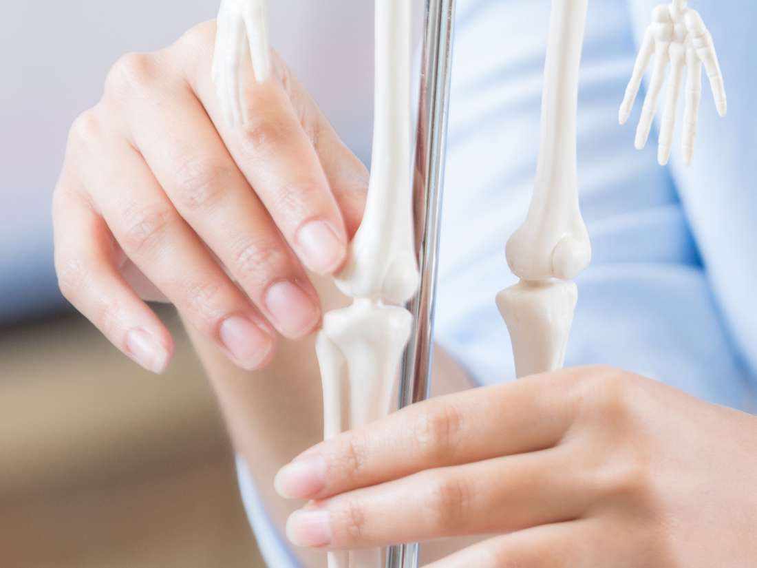Bone Marrow Function Diseases Transplants And Donation