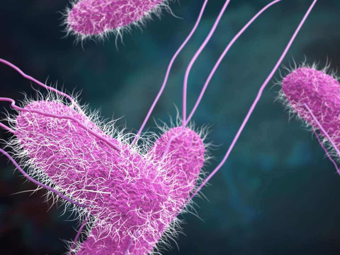 Stomach Virus Vs Food Poisoning Symptoms Differences And Treatment