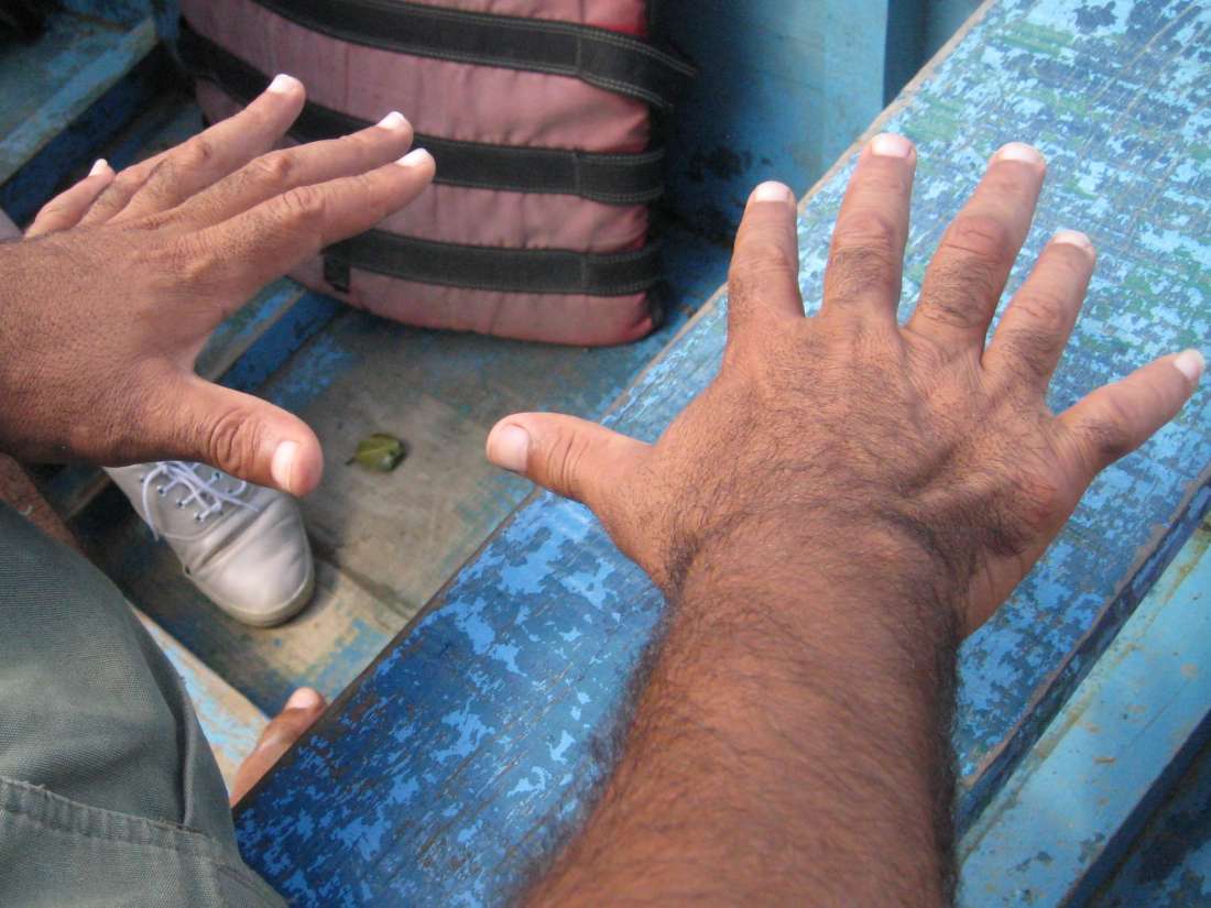 Genetics News from Medical News Today